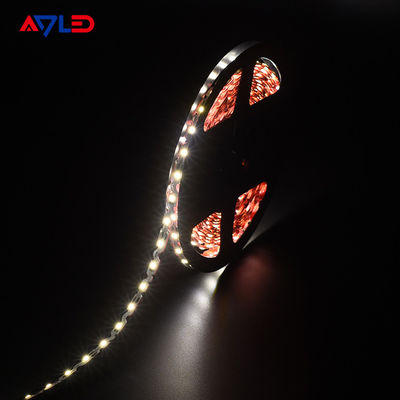 Quality High CRI LED Strip & COB LED Strip factory from China